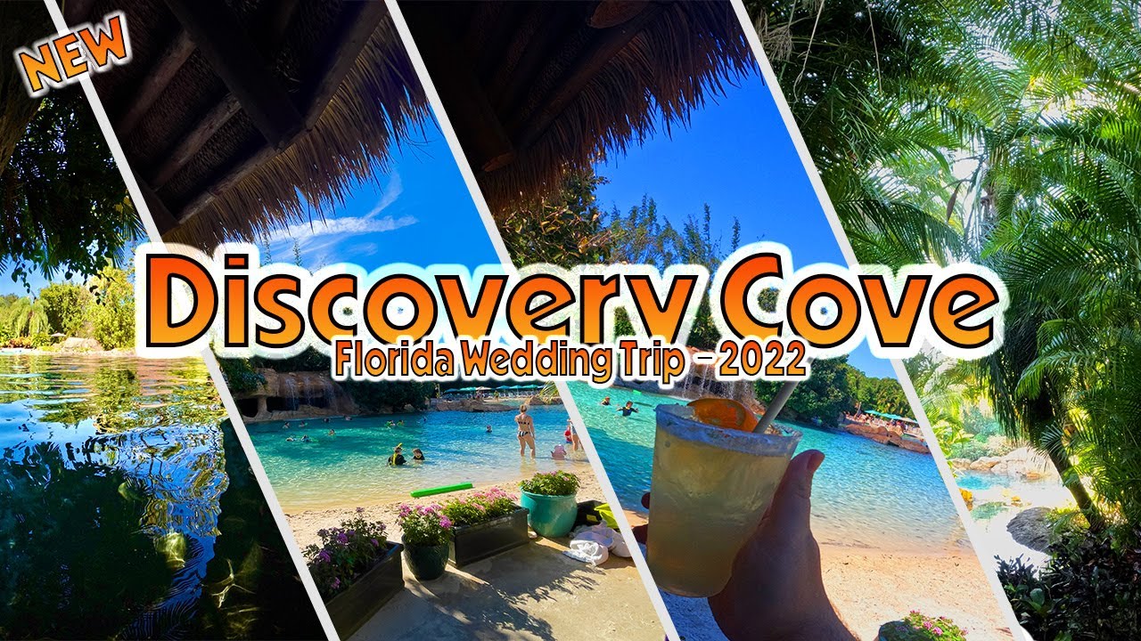 Discovery Cove - Snorkelling - Upgraded Drinks Package - Food & More ...
