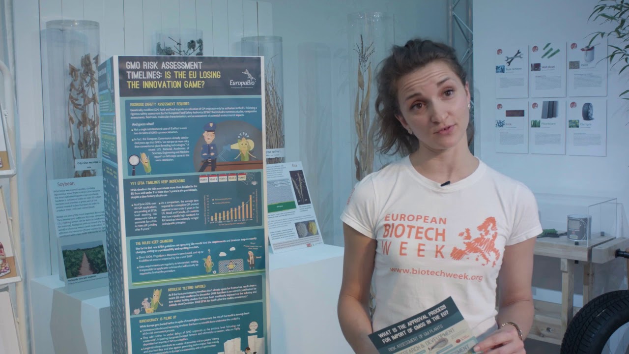 European Biotech Week 2017 - Interview with Violeta Georgieva - YouTube