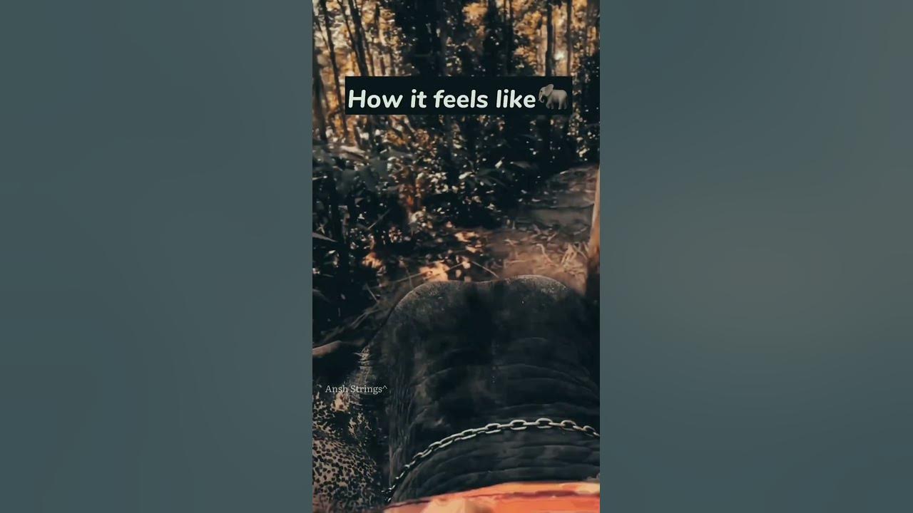 This is how I feel when I ride my cruze: Insta ID- Ansh Strings - YouTube