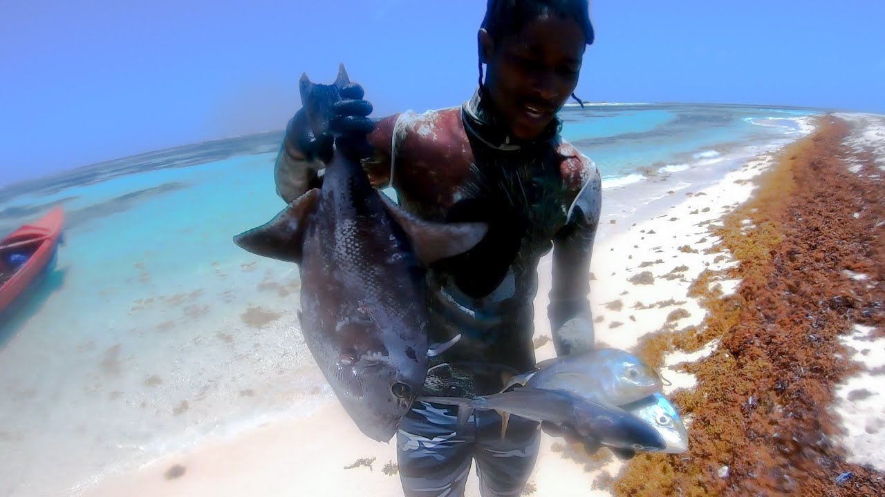 47 Miles at Sea freediving spearfishing jamaica Excellent day out - YouTube