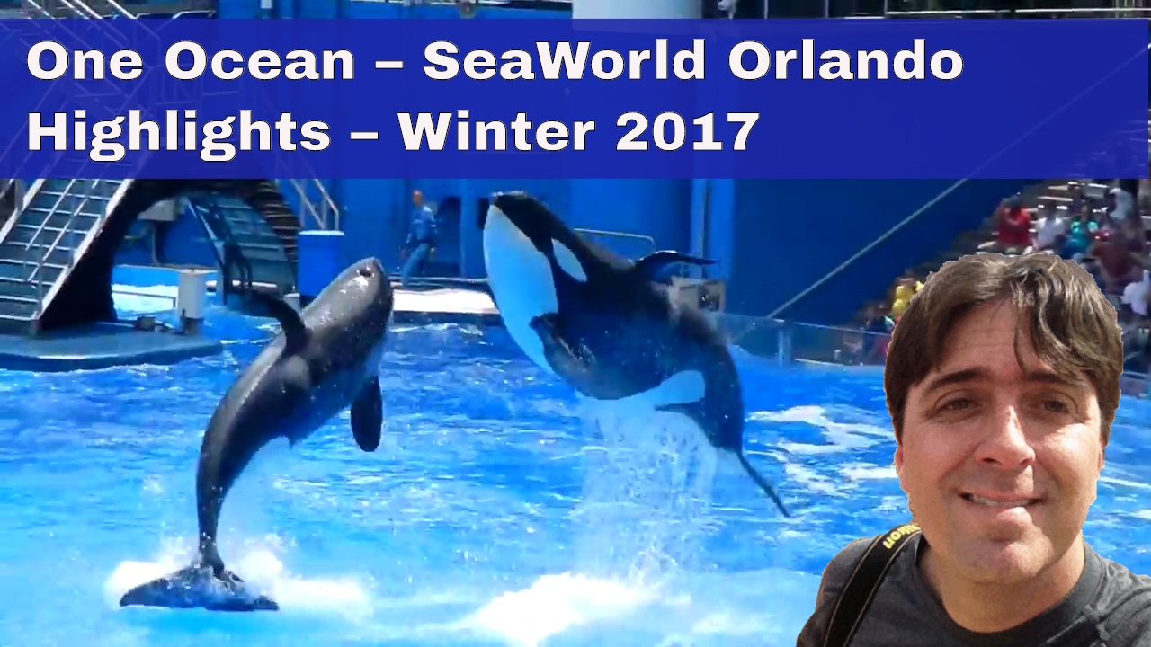 One Ocean – SeaWorld Orlando - YouTube