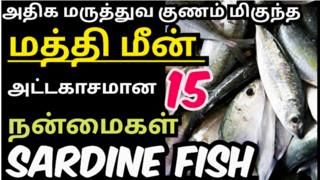 mathi meen benefits in tamil/மத்தி மீன் நன்மைகள்/mathi fish bebefits ...