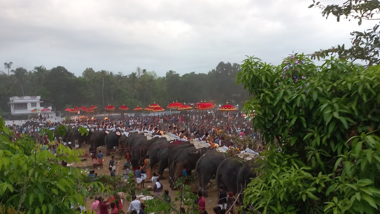 Aarattupuzha pooram, Kerala festivals", "elephant procession ...