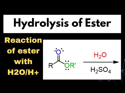 Reaction of ester with H3O+ | Ester hydrolysis | Nikhil Verma - YouTube