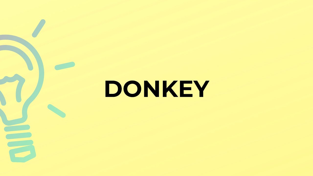 What is the meaning of the word DONKEY? - YouTube