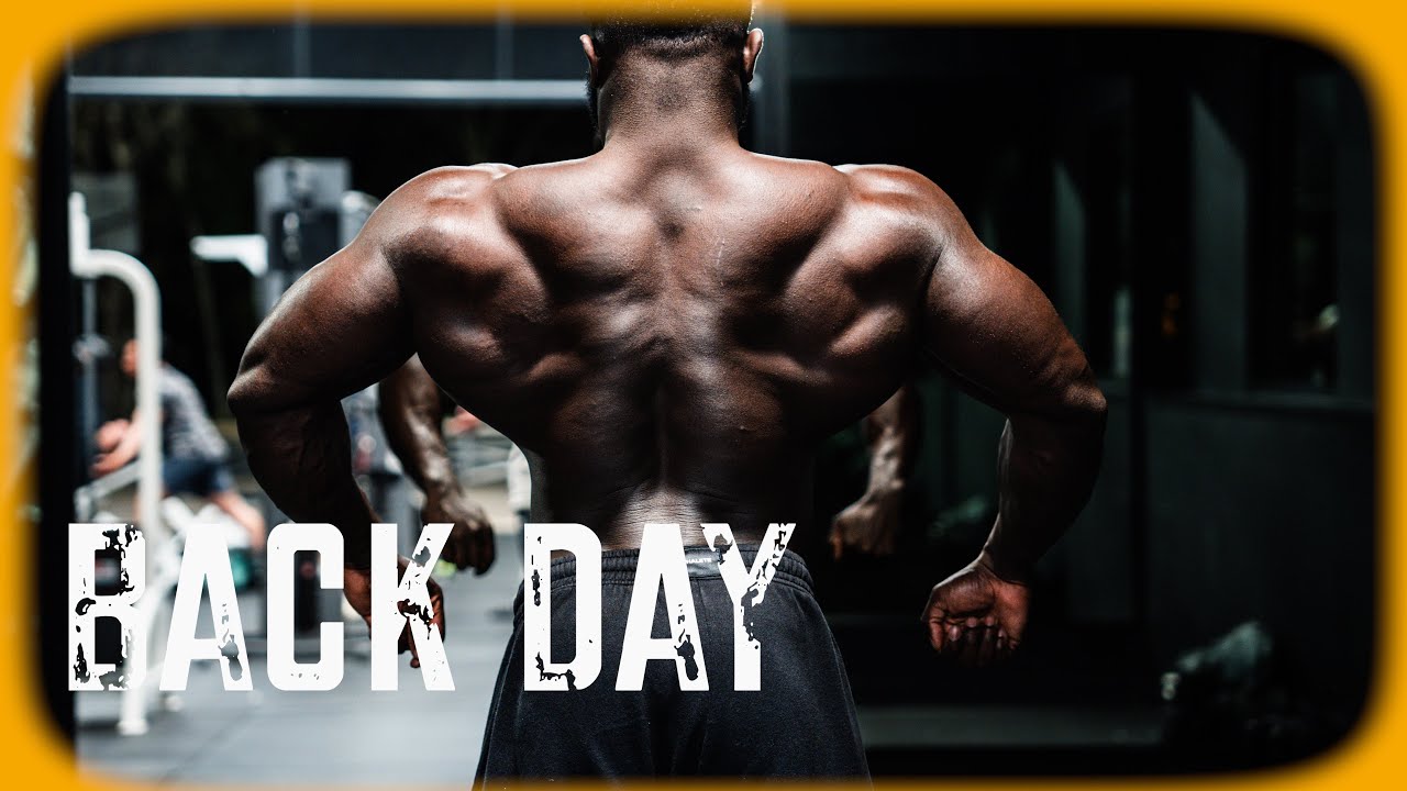 TRAIN LIKE A PRO EP 3: BACK WORKOUT - YouTube