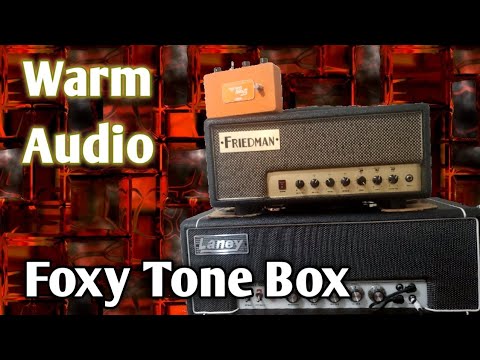 Foxy Tone Box Fuzz from Warm Audio Demo/Review - YouTube