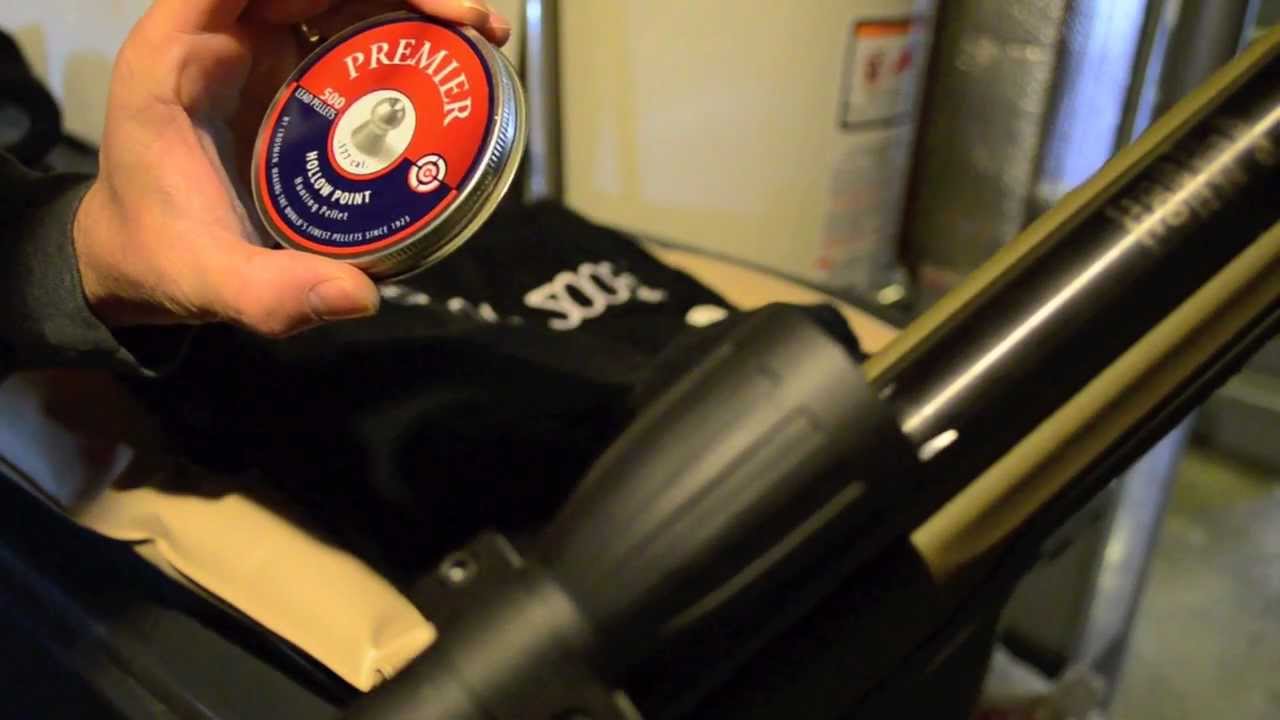 Gamo Bone Collector .177 Air Rifle - YouTube