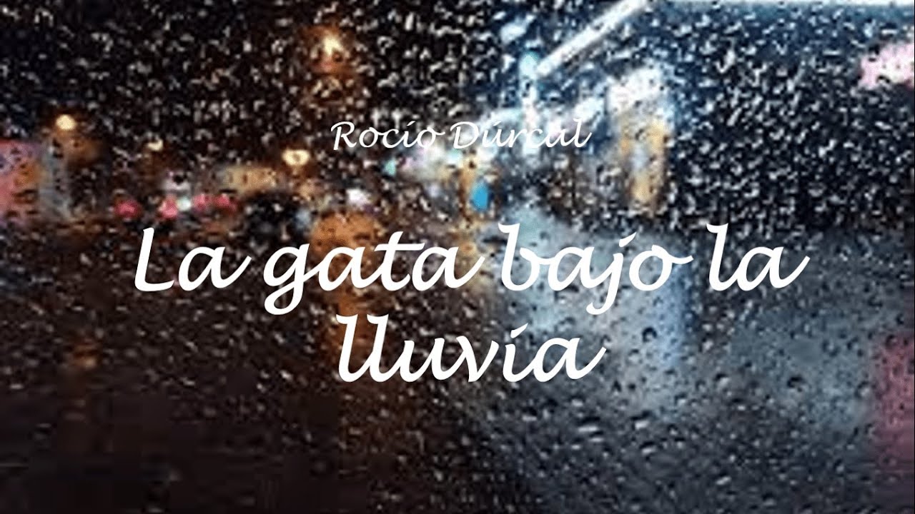 ROCÍO DÚRCAL - La Gata Bajo La Lluvia (Letra Original) - Jordansito BI ...