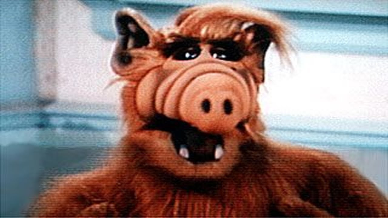 should there be an alf reboot? - YouTube