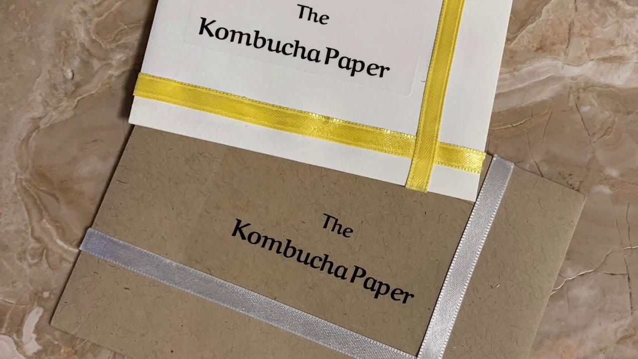The Worlds First Kombucha Papers - YouTube