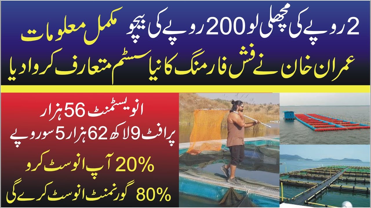 How To Aquaculture Cage Fish Farming in Pakistan | REVOLUTION IN ...