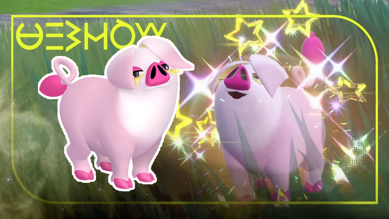 Oinkologne Shiny in Paldea ! [FULL ODDS] - Pokemon Scarlet / Violet ...