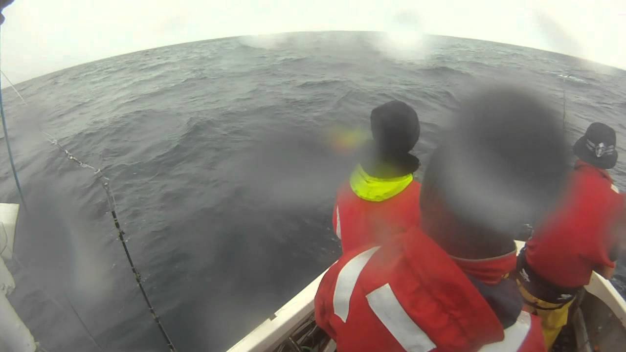 Sexy Swordfish - Team ChoonaChasa's Tassie Assault !!! - YouTube