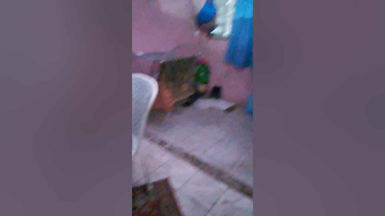 17 de janeiro de 2024 - YouTube