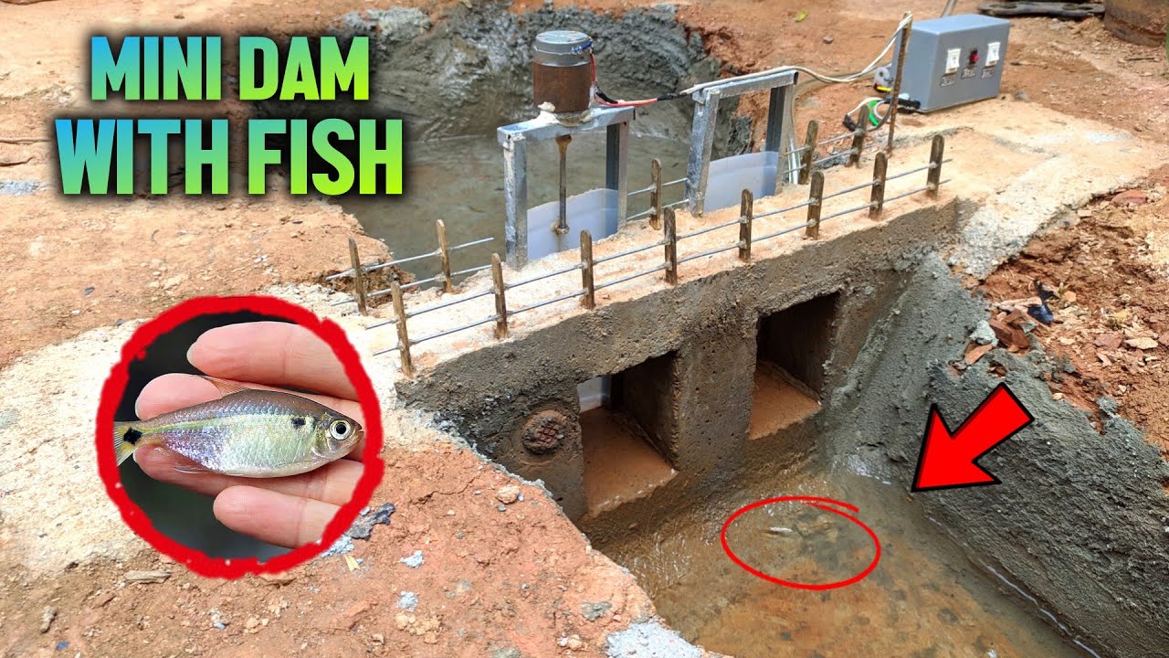 Mini represa para Peixes Diy | Mini dam with fish - YouTube