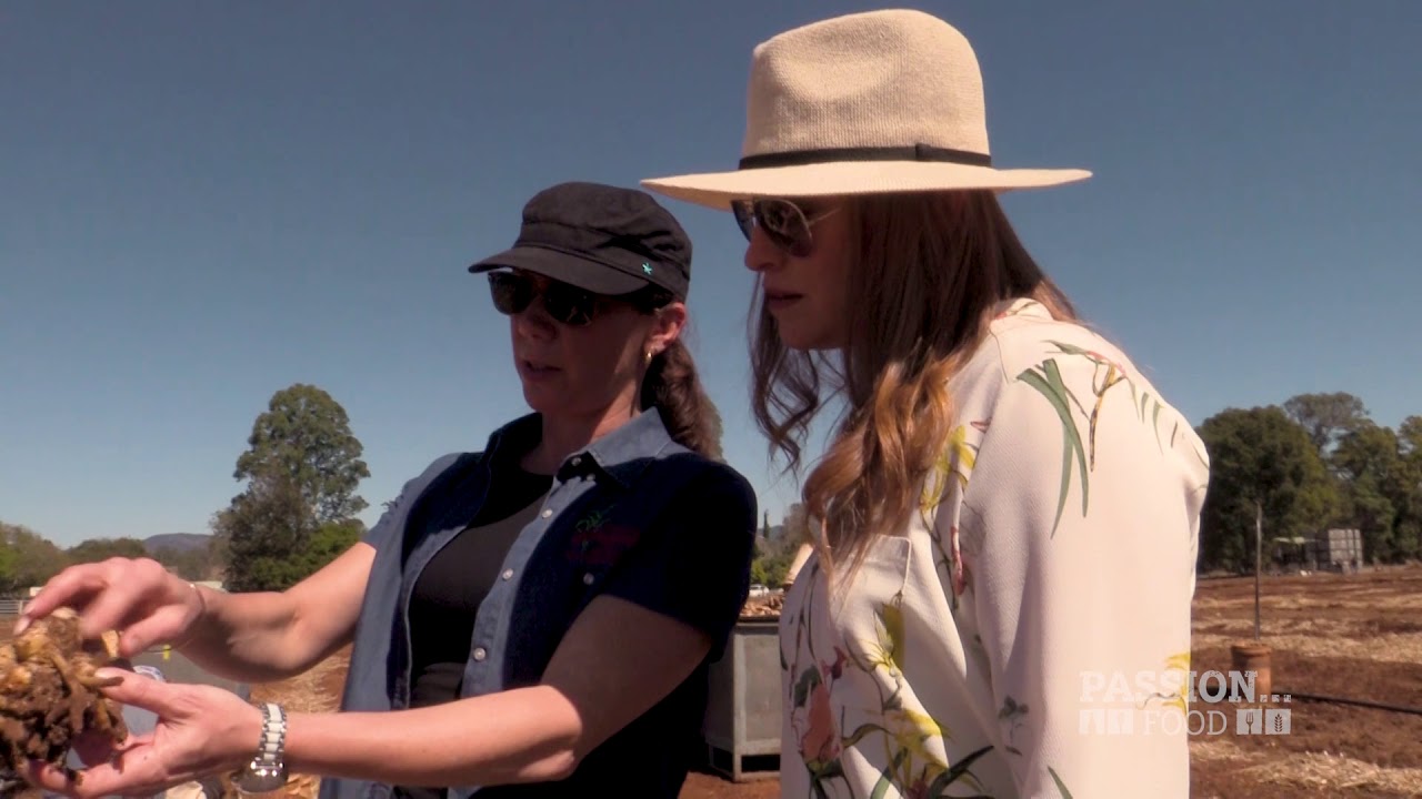 Templeton Ginger - Passion Food with Jillian Butler S1 EP2 - YouTube