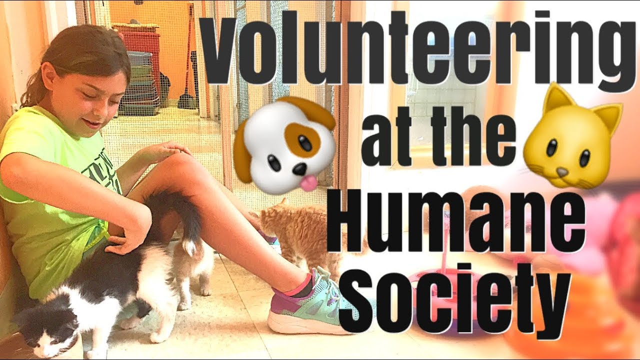 Volunteering at Animal Shelter | Family Vloggers | Humane Society ...