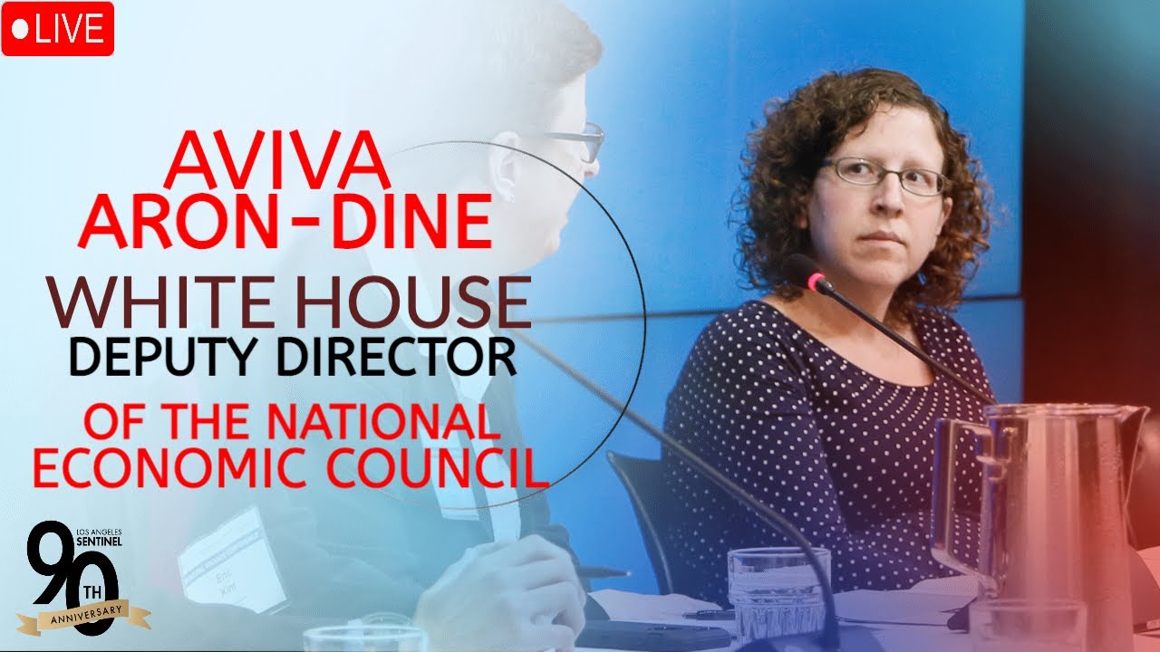 AVIVA ARON-DINE The White House's New Deputy Director of the National ...