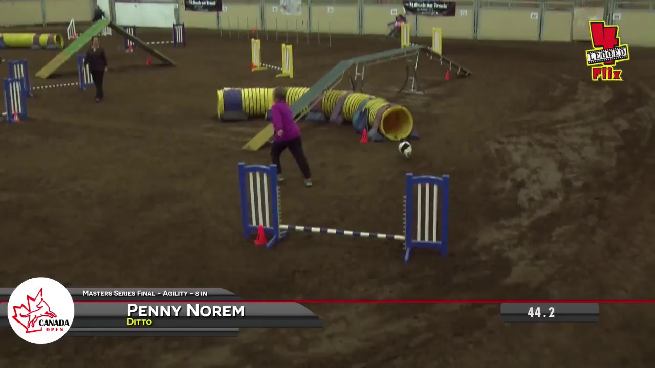 UKI Canadian Open 2018: Master Series Final - Agility - YouTube