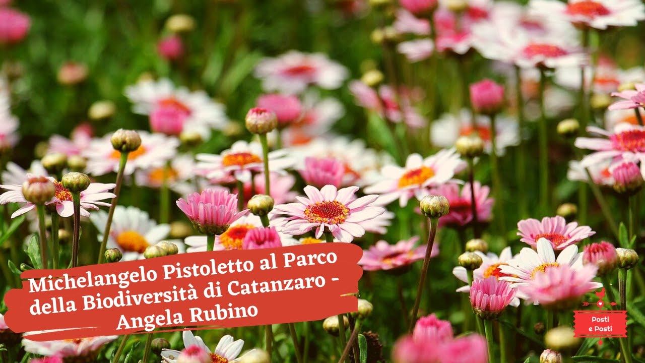 📺 Michelangelo Pistoletto al Parco della Biodiversità di Catanzaro ...