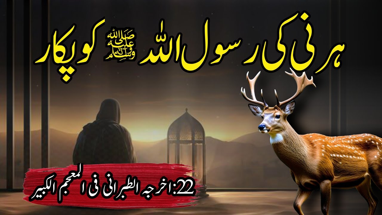 Hazrat Mohammad ﷺ Aur Hirni Ka Waqia | Hadees Shareef | Deen with Dr ...