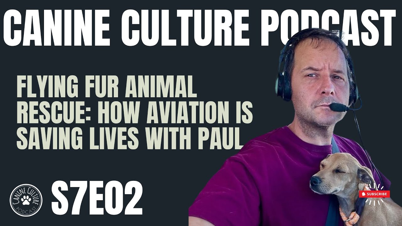 Flying Fur Animal Rescue: How Aviation Is Saving Lives with Paul ...