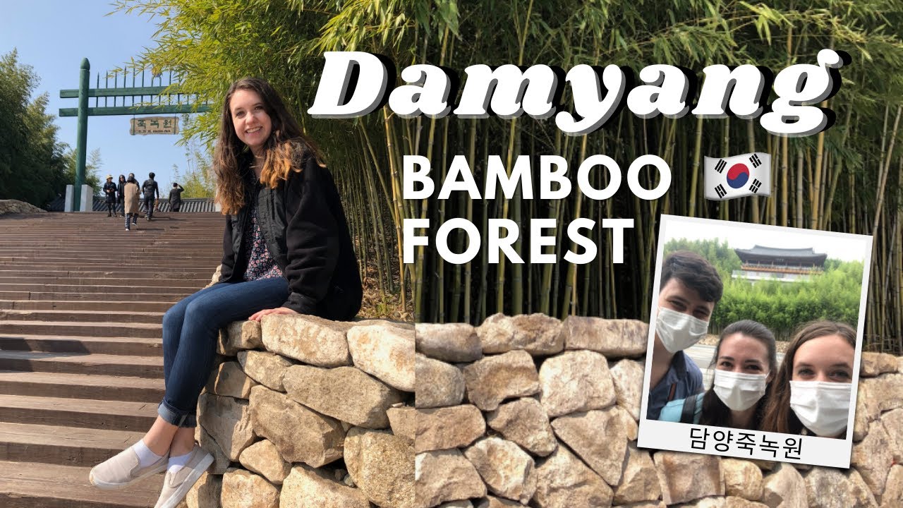 Bamboo Forest + Things to do in Damyang 담양 | Travel Vlog in Korea - YouTube