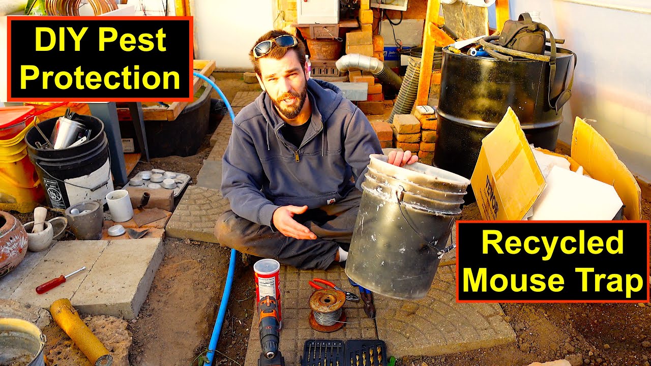 DIY Greenhouse Pest Protection - Build A DIY Bucket Trap With Me ...
