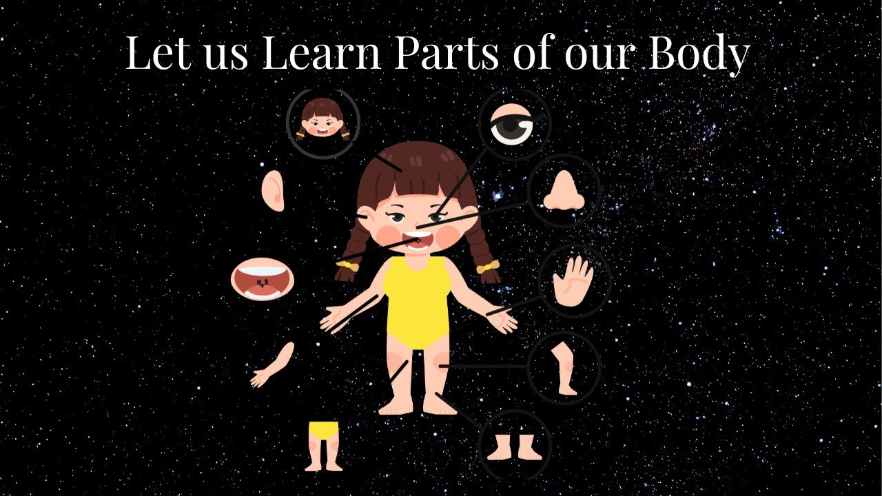 Learn Parts Of Our Body || Important Parts of Our Body For Kids - YouTube
