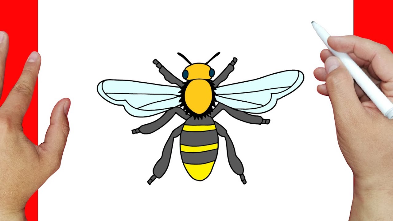 Como dibujar una abeja | Cómo dibujar Animales para niños - YouTube