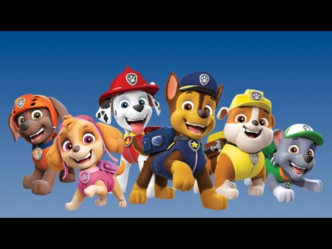 Paw Patrol : help save the city🐶 - YouTube