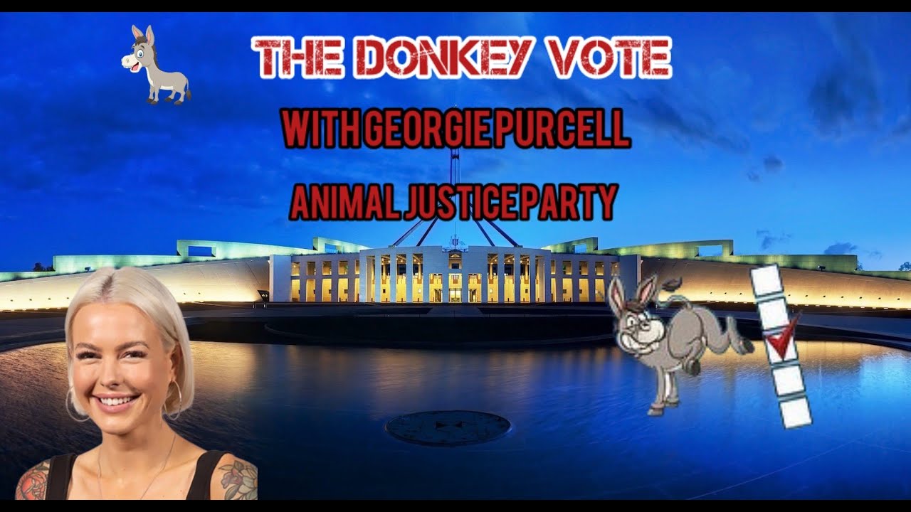 How is Parliament like being an Animal Justice Member? Interview with ...