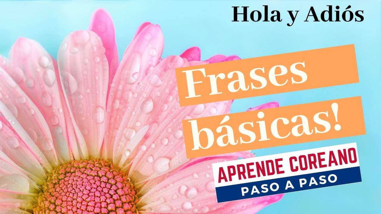 HOLA Y ADIÓS en coreano (Leer la descripción) #coreanofacil # ...