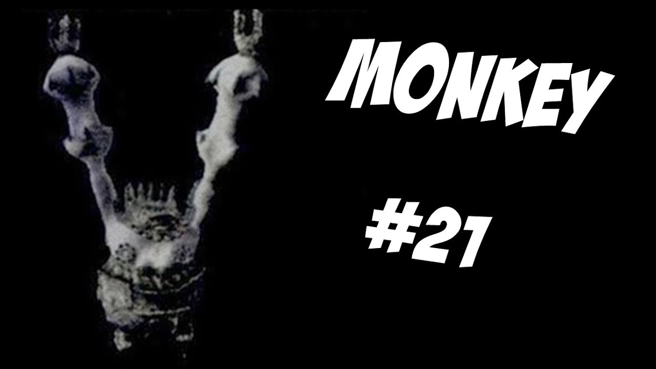 Conhecendo os Colossus #21: MONKEY [BR] - YouTube