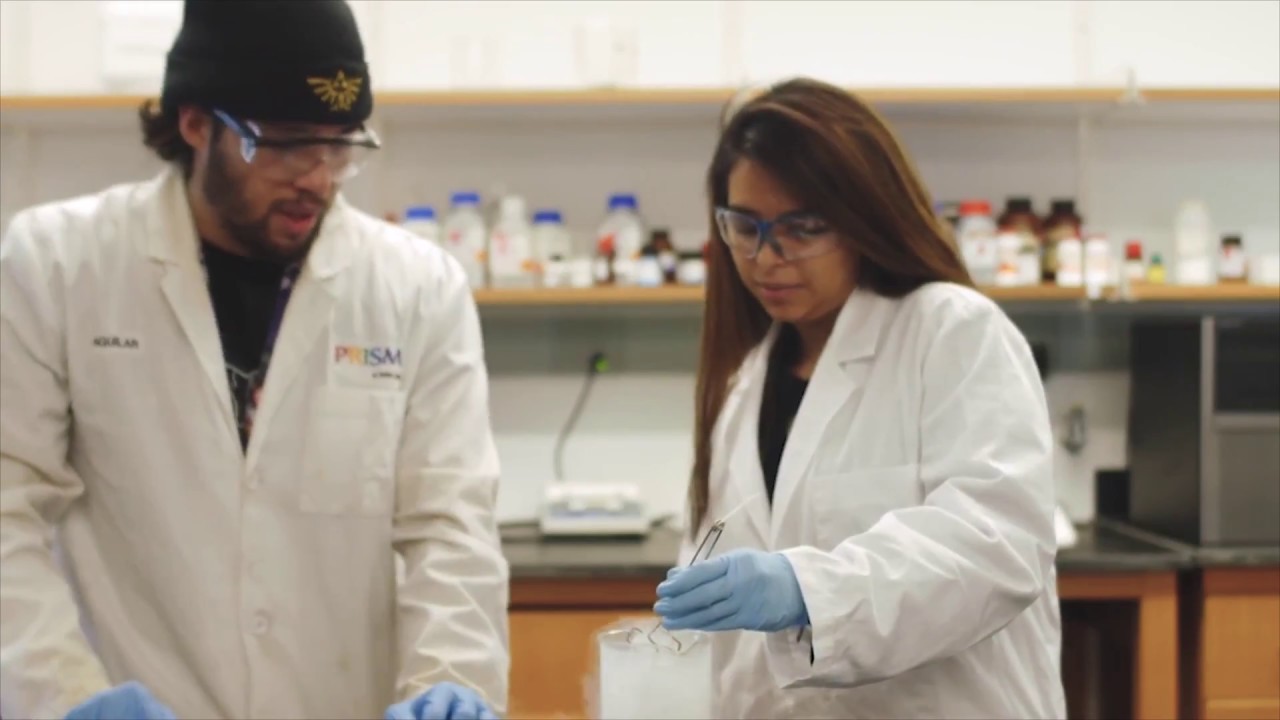 A Vision for Undergraduate Student Success - YouTube
