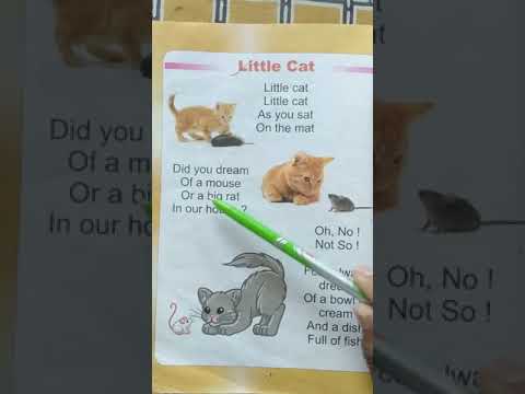 LITTLE CAT