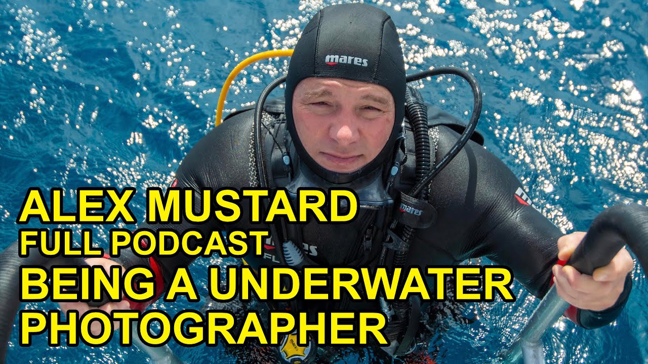 Jack Does Underwater Photography ft Alex Mustard - YouTube