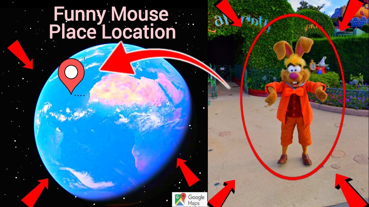 I Found Funny Mouse 🐭 On Google Earth Google maps Please Location #maps ...