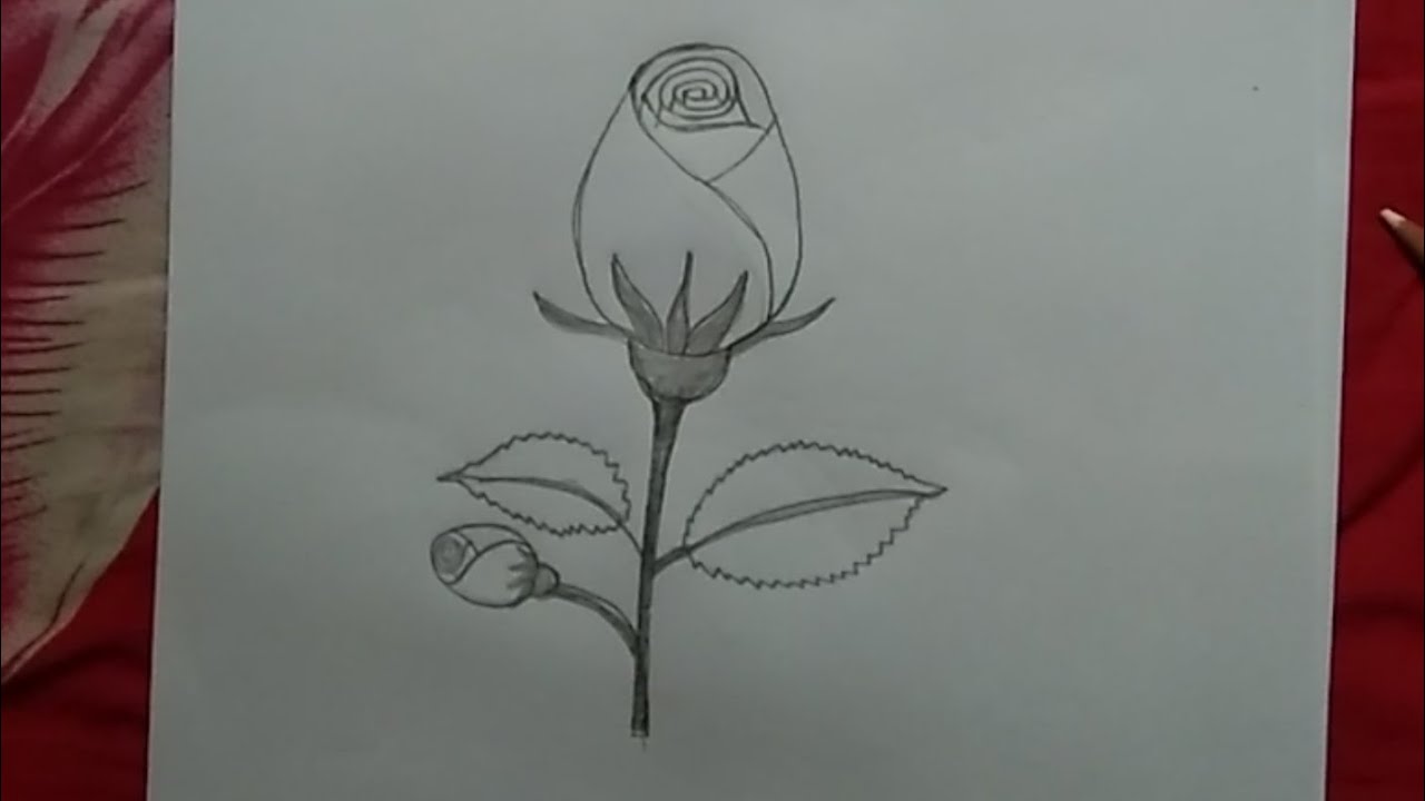 How to draw a beautiful flower for beginners ll pencil skirts ll flower ...