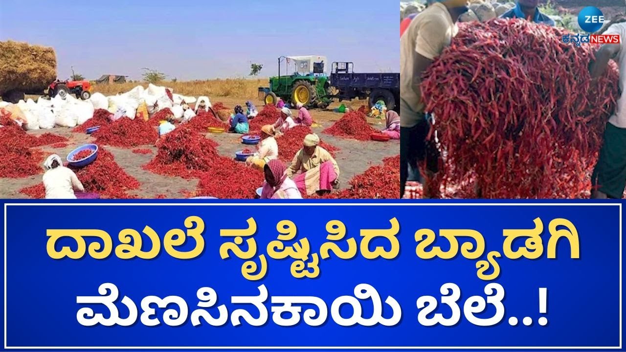 The price of Badagi chilli created a record..! | ಕೋಟಿ-ಕೋಟಿ ವಹಿವಾಟು ...