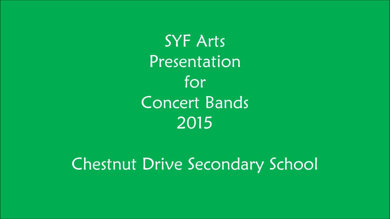 SYF 2015 Chestnut Drive Secondary School (Band No. 17) - YouTube