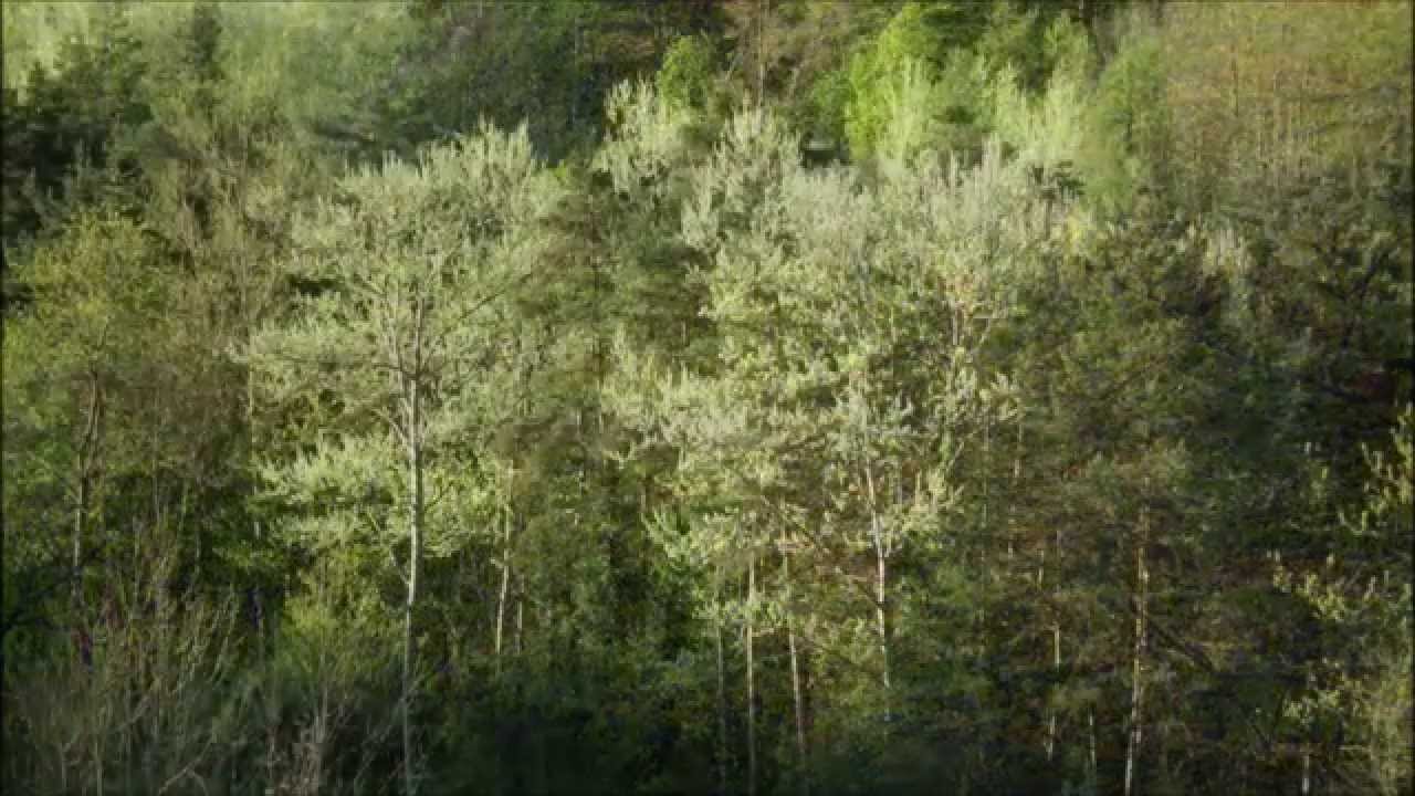 Val Maira - Macra e sentiero dei ciclamini - YouTube