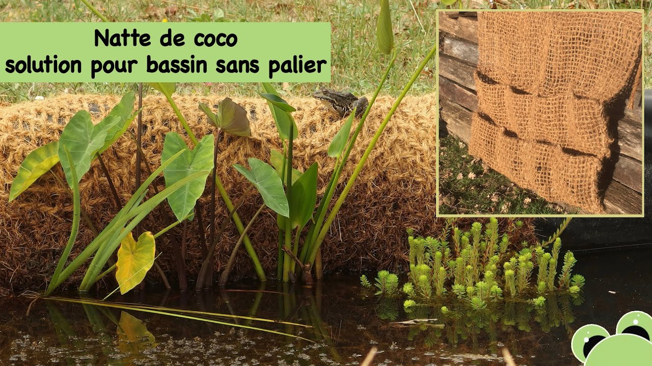 L'installation d'une natte de coco pour plantes aquatiques - YouTube