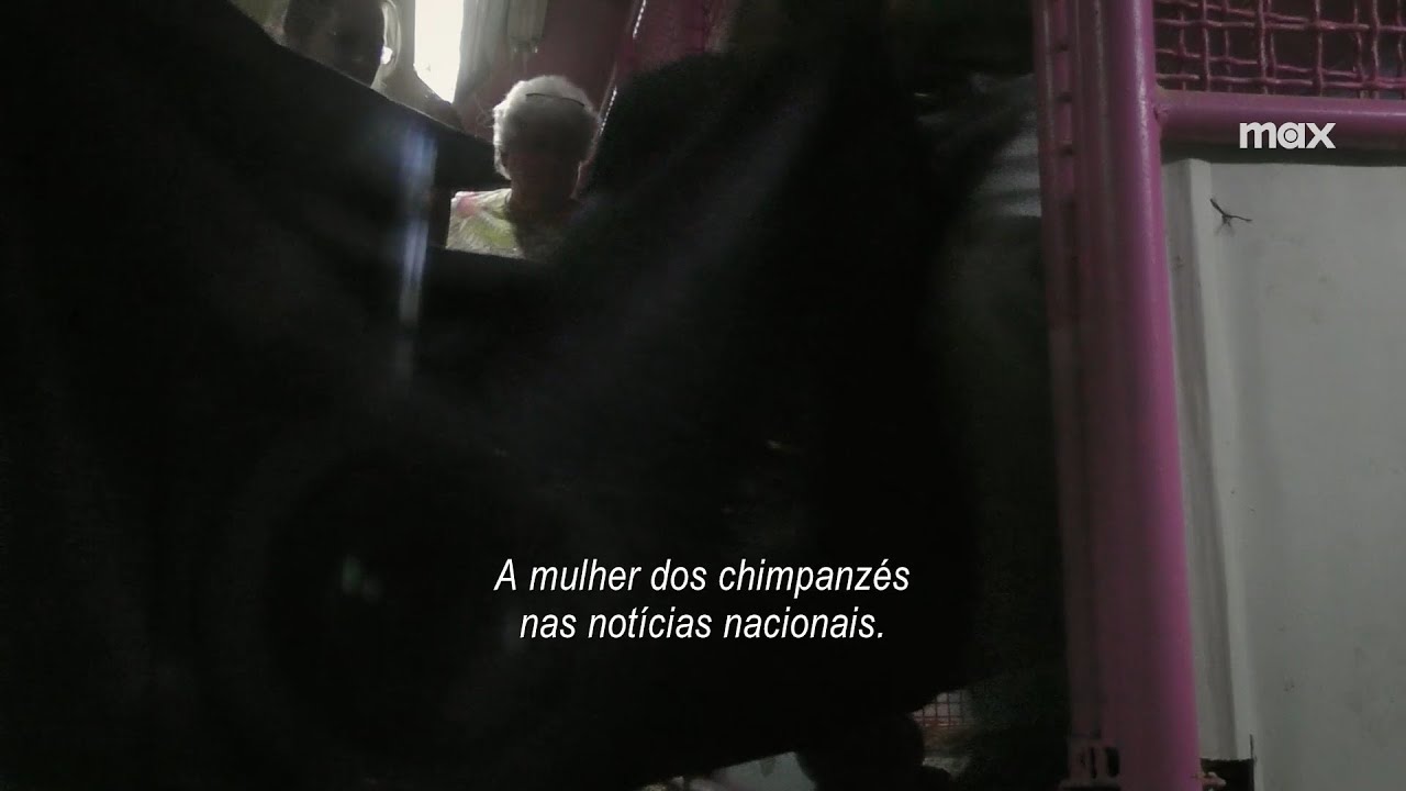 Chimp Crazy | Teaser | Max - YouTube