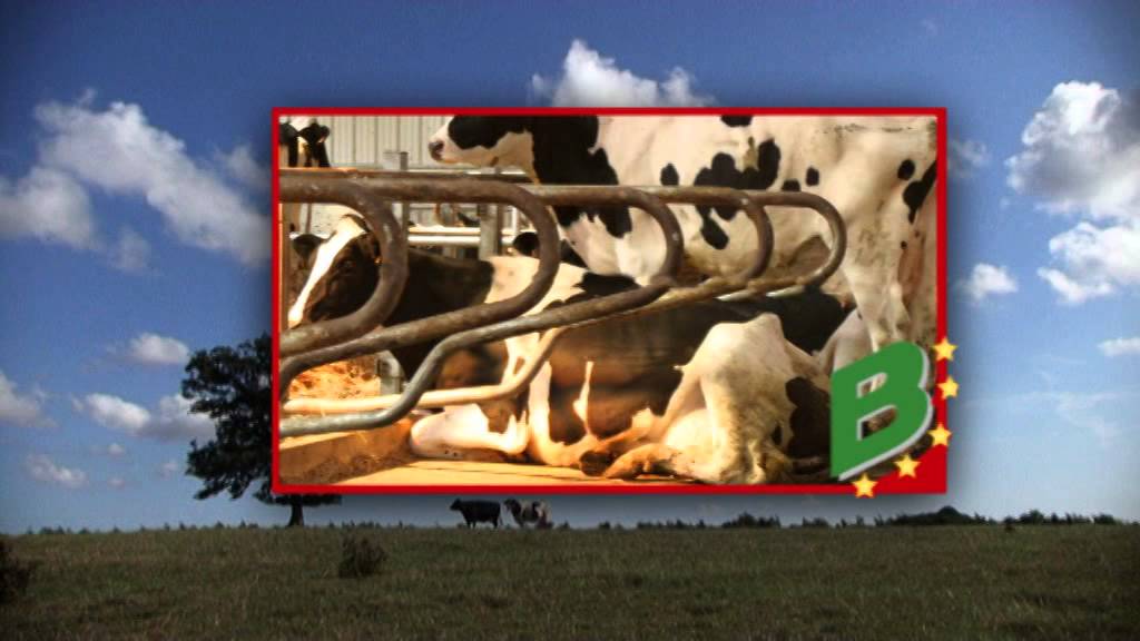 BIORET AGRI PRESENTATION ENGLISH - YouTube