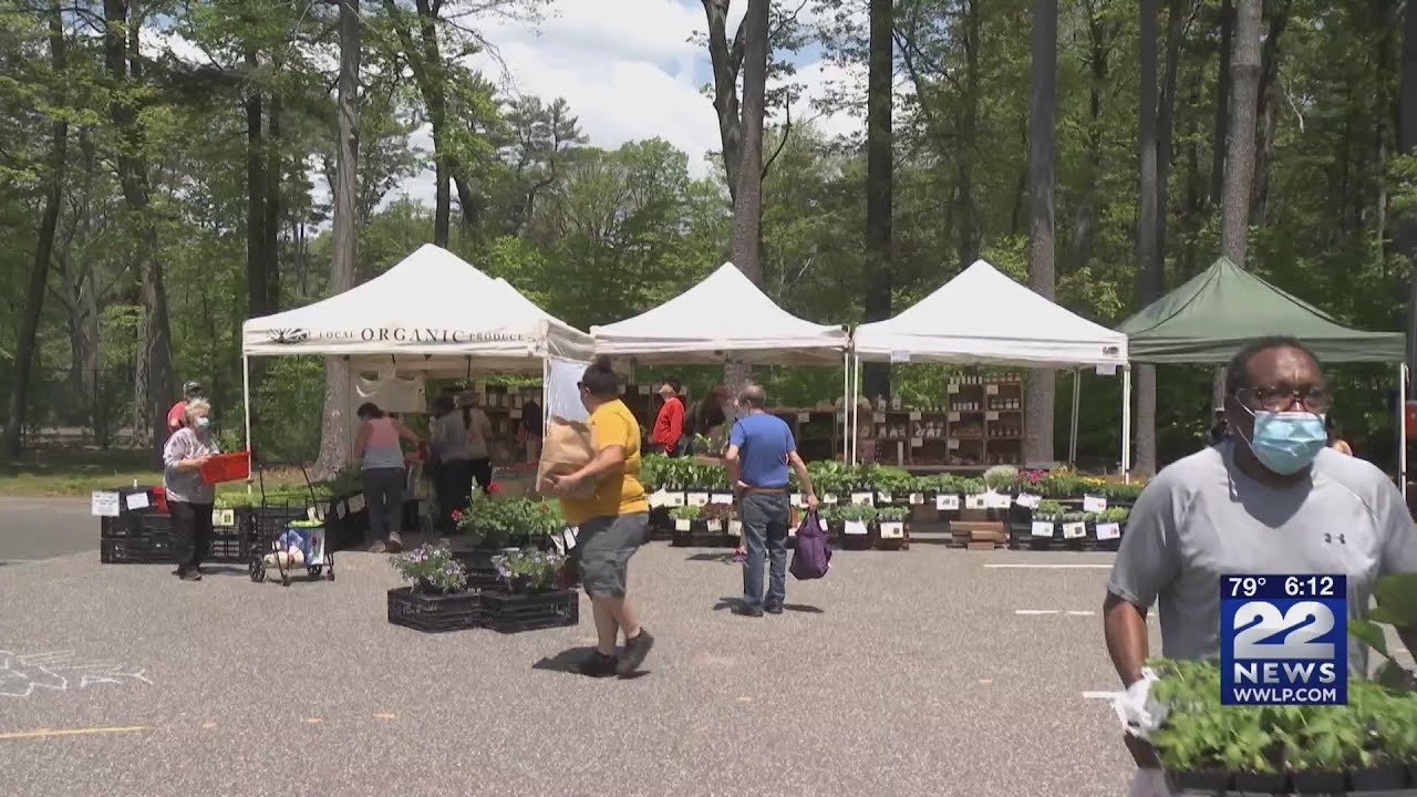 Springfield Farmers' Market opens under new management - YouTube