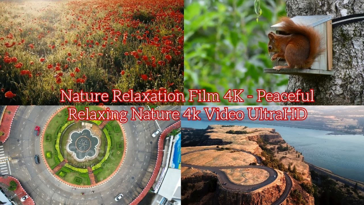 Nature Relaxation Film 4K | Peaceful Relaxing | Nature 4k Video UltraHD ...