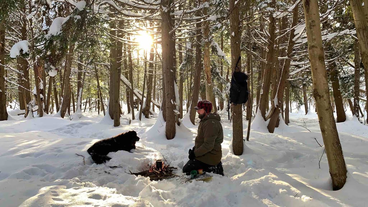 Relaxing with Foraged Hemlock Tea in the Winter Woods with my Dog Moose ...