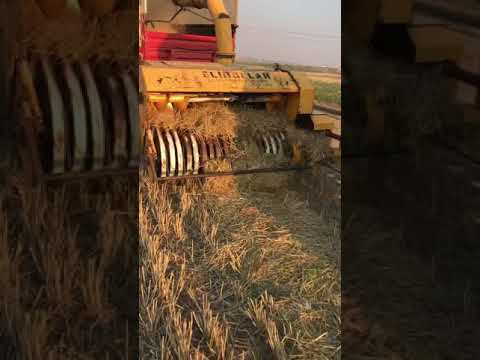 Tümosan 8280 ile toz saman yapıyoruz